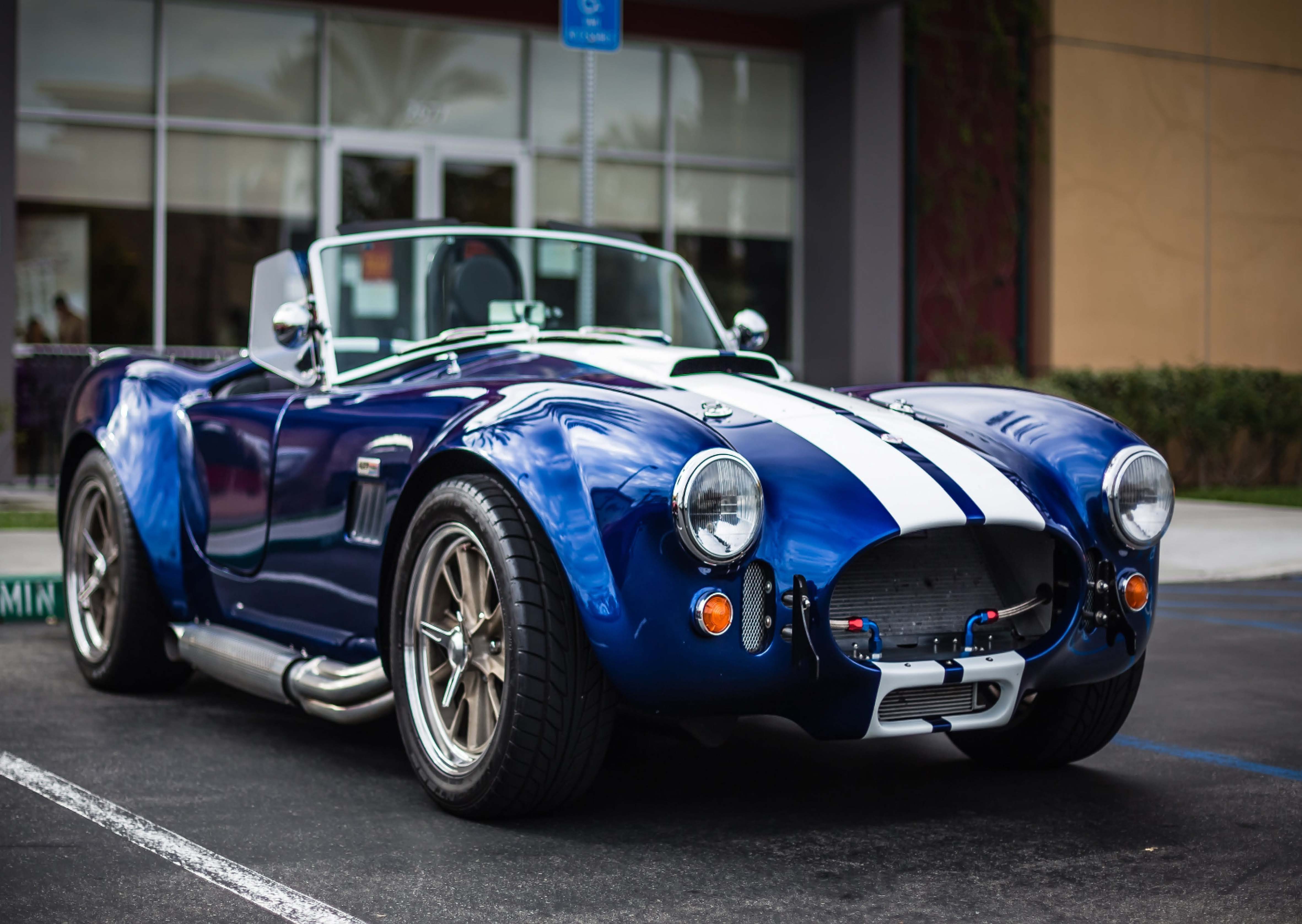 AC Cobra Blue Poster Print – JNP Printing